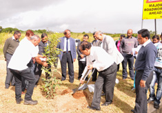 Planting Trees Along Motorway, an Initiative to Reduce Deforestation