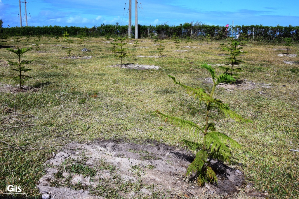 Agro: Launching of La Prairie Mini Forest to contribute to ...