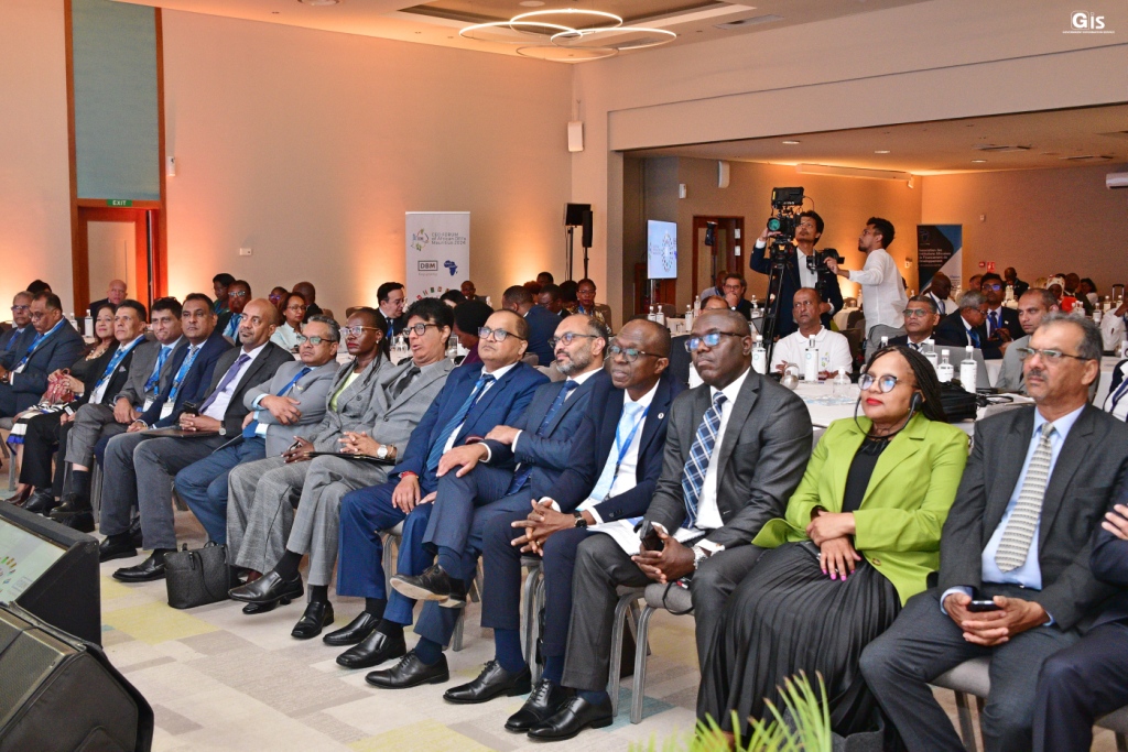 CEO Forum of African DFIs launched to promote financing innovation and ...