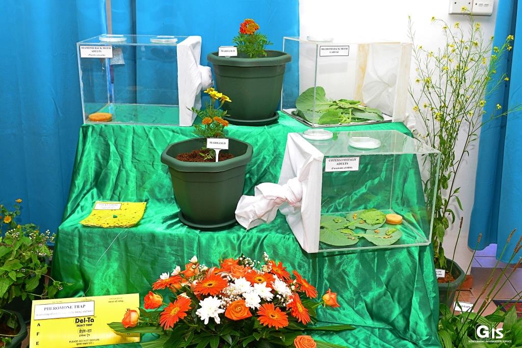 Campaign on sustainable crop production using Integrated Pest ...