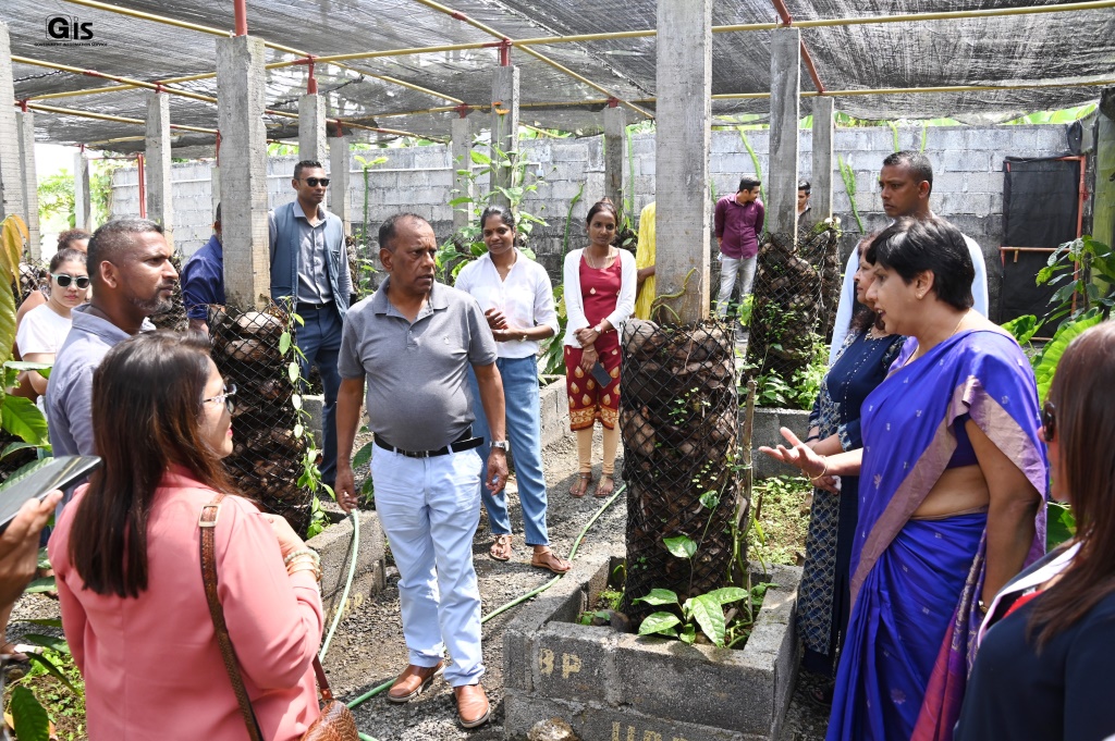 Cooperatives: Boosting bio vanilla cultivation in Mauritius
