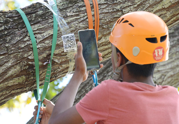 Cyber Quest competition final held at Pointe Jerome Youth Training Centre