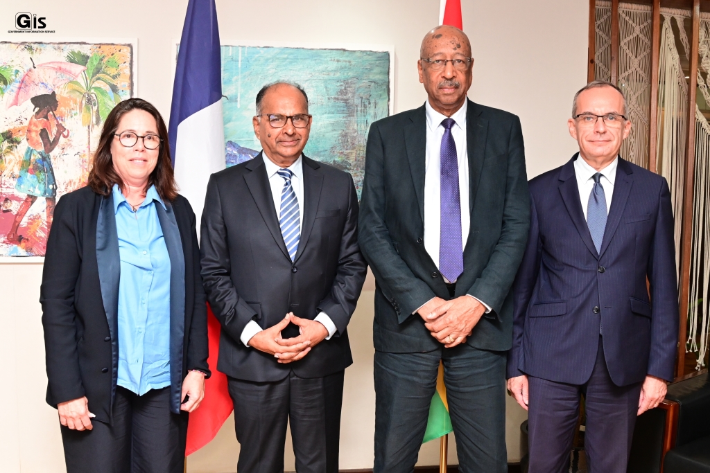 Delegation of French Senators calls on Acting Foreign Affairs Minister