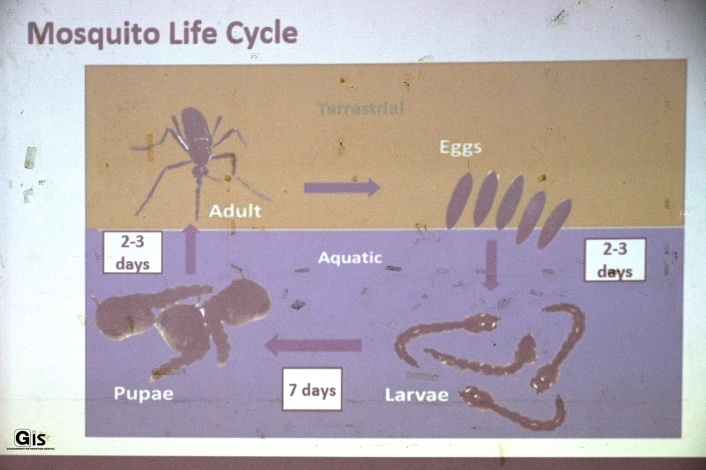 Empowering citizens from Tyack and neighbouring South regions with ...