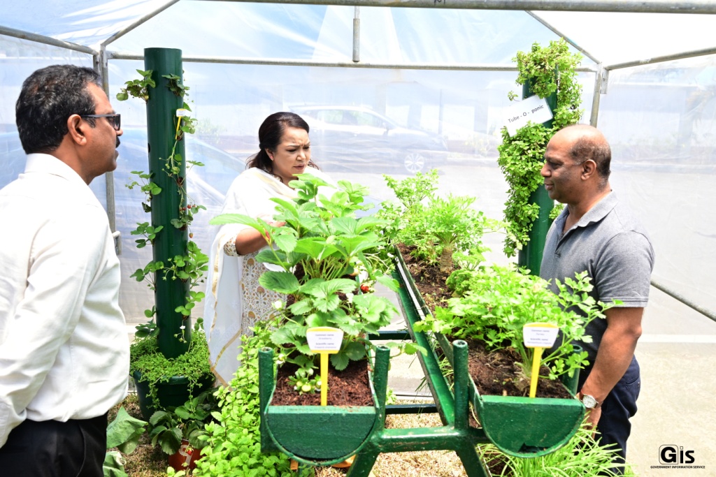 Food Security: Promoting traditional gardening and agriculture/agro ...