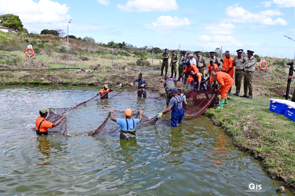 Mauritius Prison Service inaugurates a fish processing plant