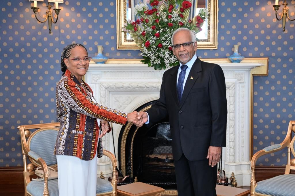 Presentation of Credentials of Ms. Maria Del Rosario Mina Rojas ...