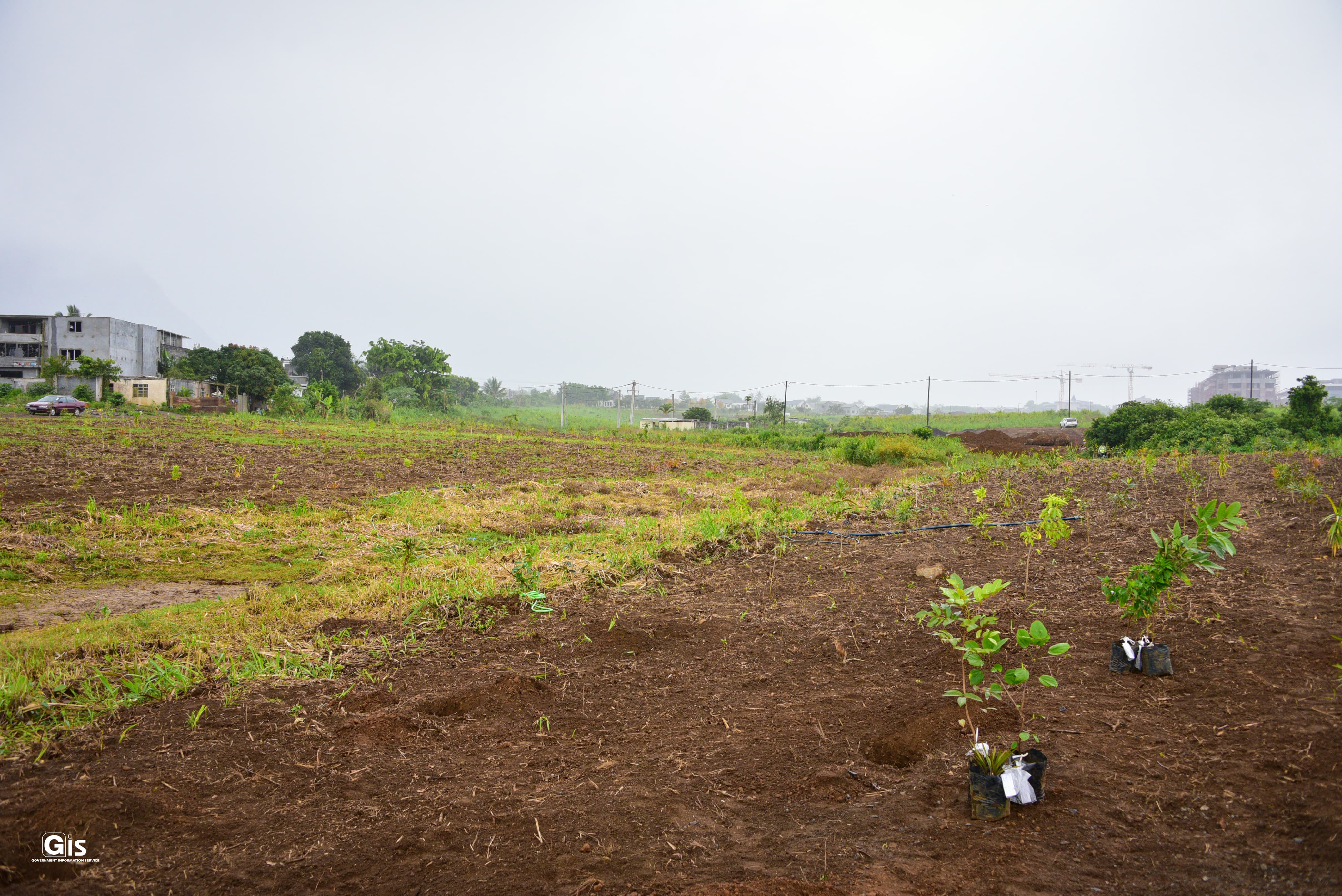 Prime Minister launches mini forest project at Telfair