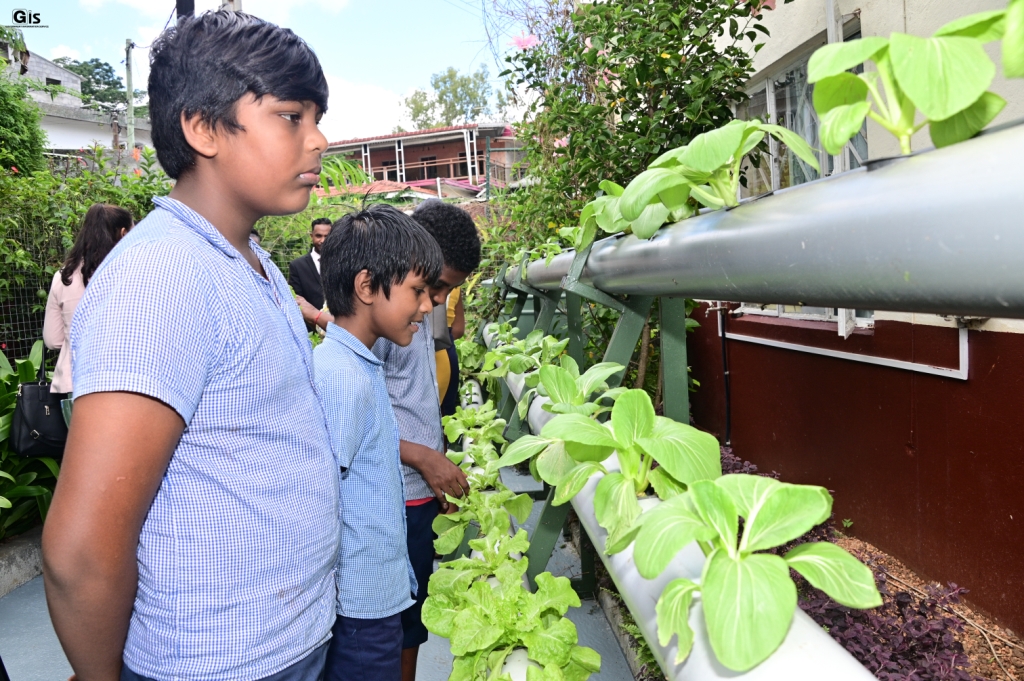 Solar-Powered Aquaponics Garden Inaugurated at Mount Ory