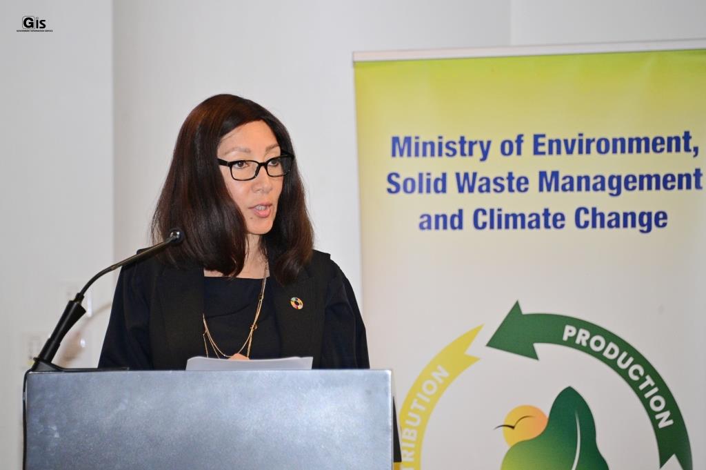Validation workshop focuses on Mauritius State of Environment and Outlook Report 2024