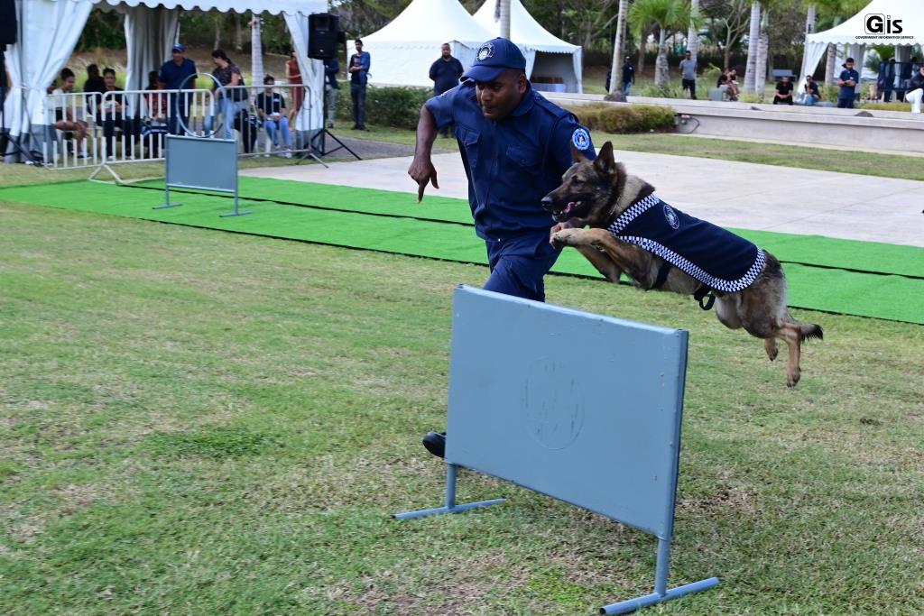 World Animal Day 2024: MSAW launches campaign for Animal Welfare and ...