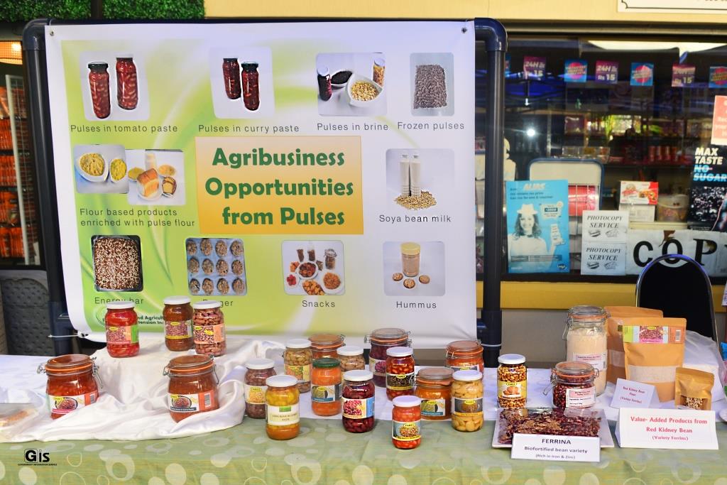 World Pulses Day 2023: Minister Gobin encourages local food production